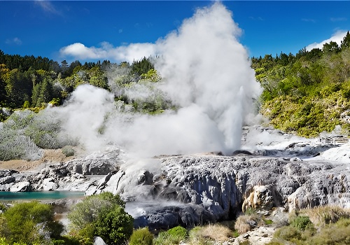 【星赏鲸奇】新西兰南岛+北岛12日9晚跟团游 出海观鲸+库克山直升机+vip座看企鹅+skyline缆车+皇后镇连住3晚+入住观星小镇+奥克兰 ...